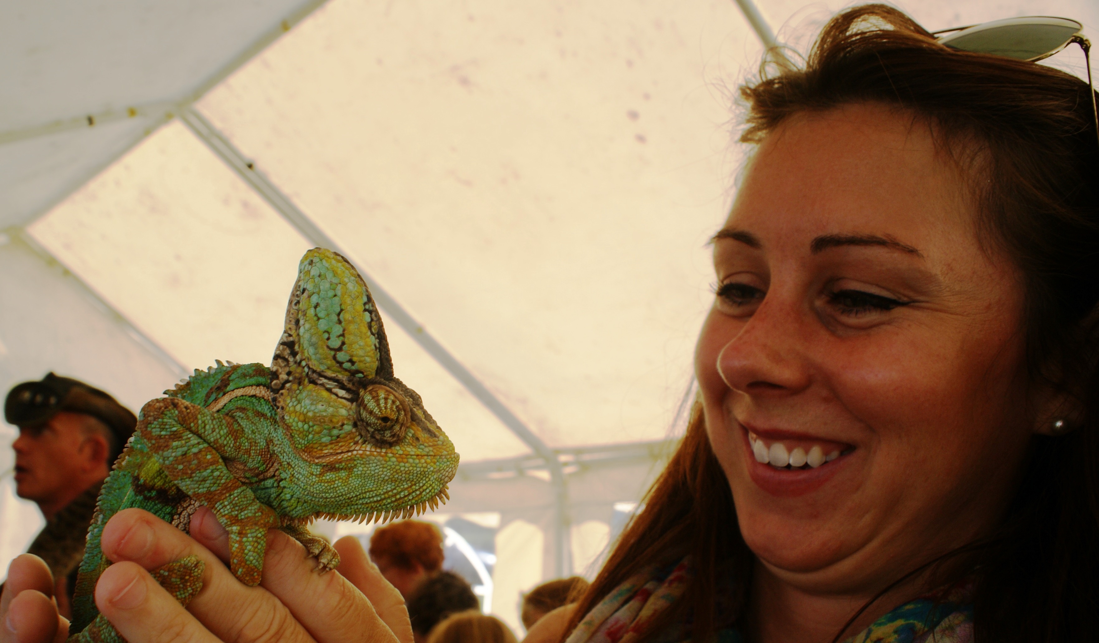 Unhealthy, Unsafe and Uninhibited. | dianaashworth